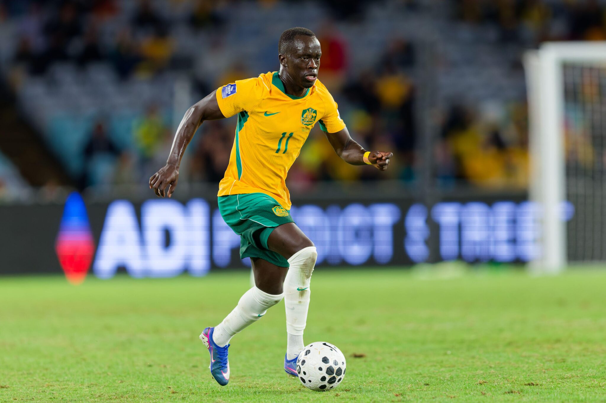 Australia World Cup 2026: Fixtures, manager, squad depth and tactical ...